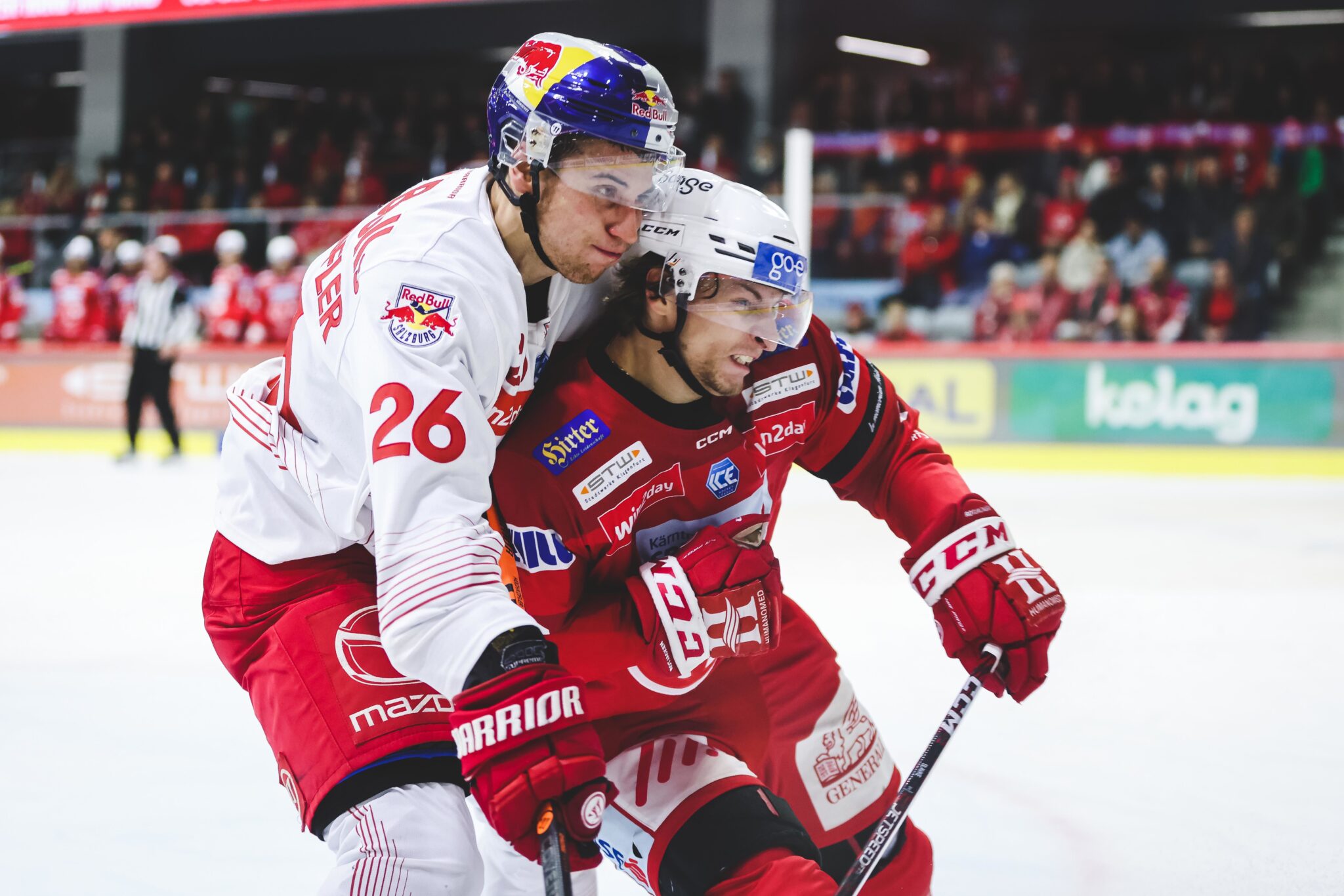 ICEHL: Ausstiegsklausel im Vertrag - David Maier hat sich entschieden ...