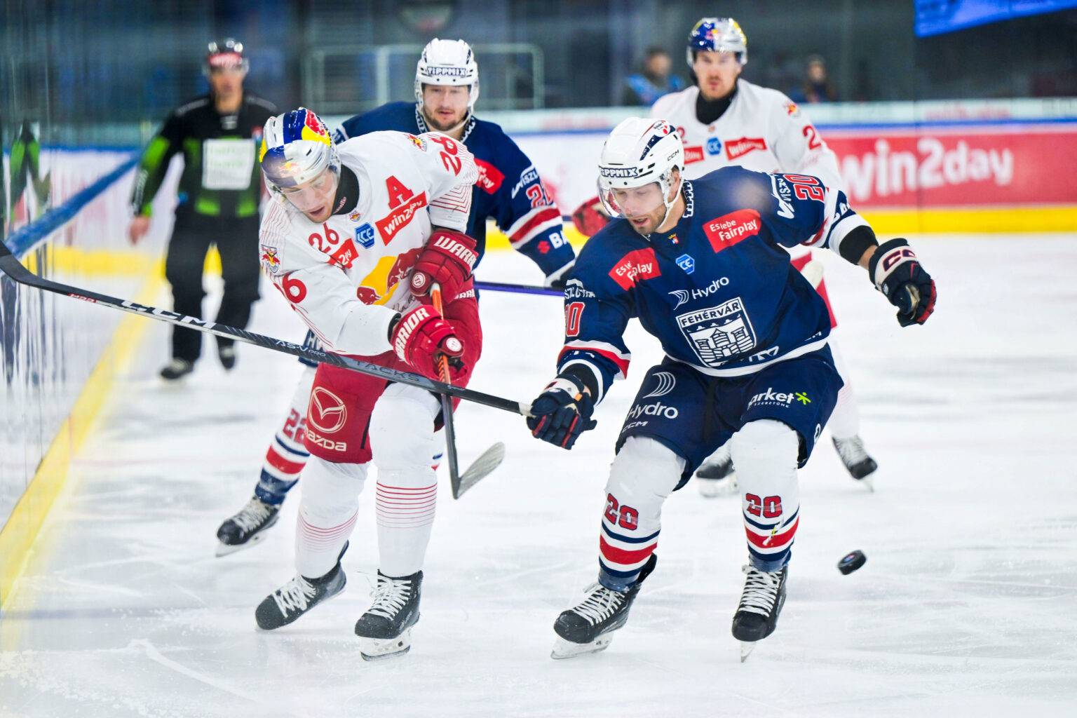 183-facher ICEHL-Verteidiger verlängert bei Meister! - Hockey-News.info ...