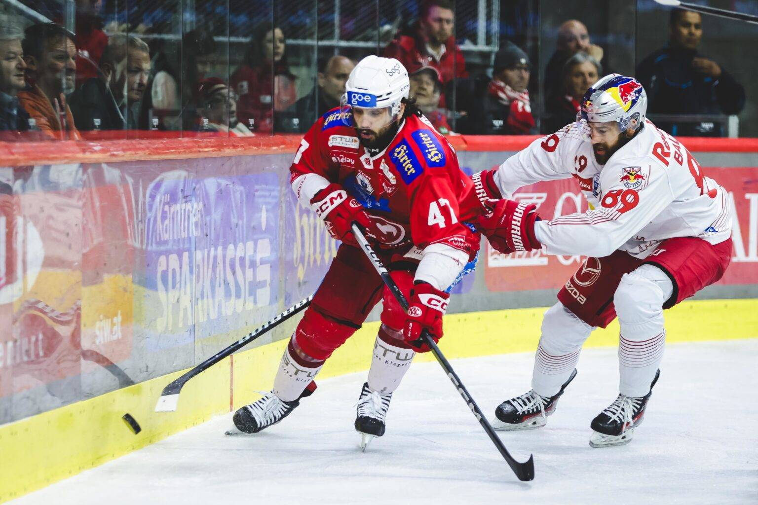 ICEHL: Black Wings Linz verstärken sich mit dreifachem ICEHL-Champion ...