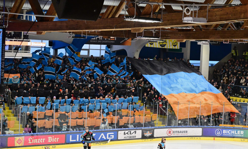 ICEHL verbucht den größten Zuschauerzuwachs in Europa & Asien! - Hockey ...
