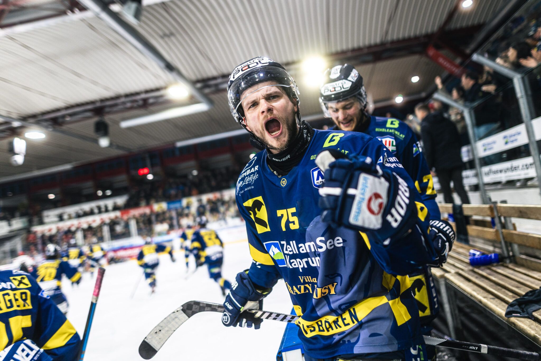 AlpsHL: Die Zeller Eisbären haben einen neuen Kapitän! - Hockey-News ...