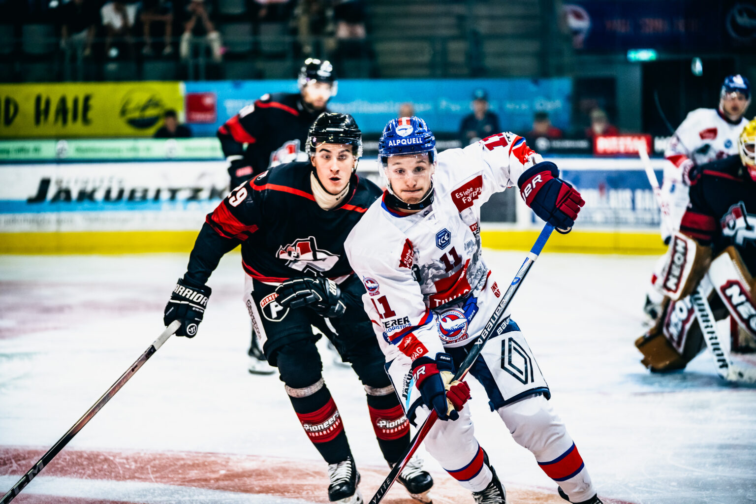 ICEHL: Pioneers Vorarlberg empfangen HC Innsbruck und Ex-MVP Steven ...