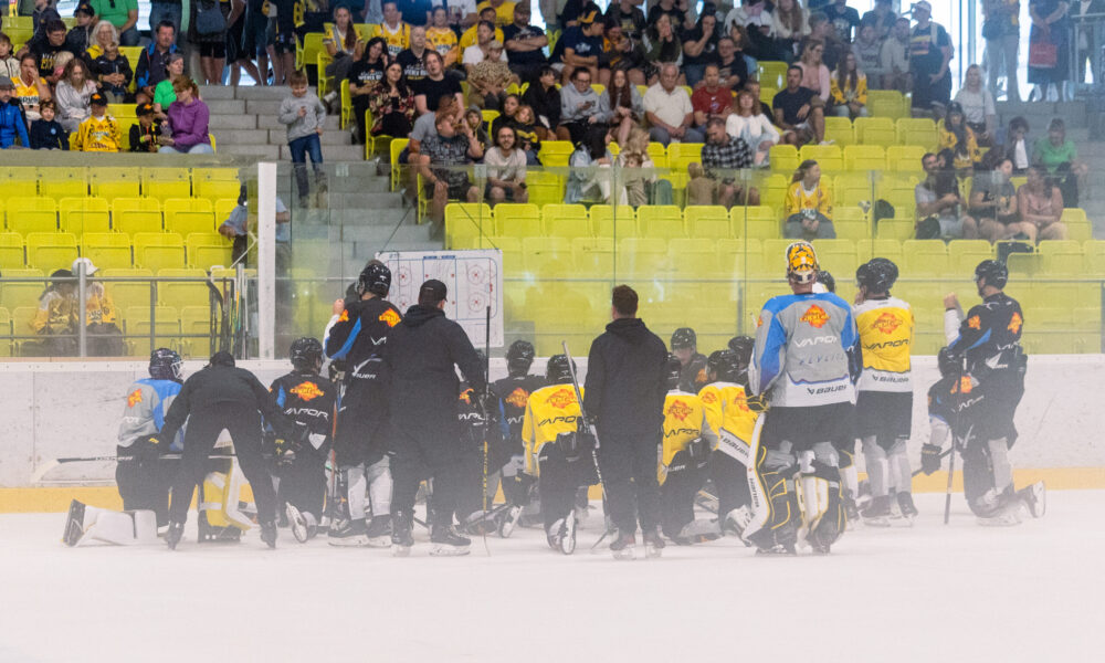 ICEHL-Preseason: Vienna Capitals gegen Fehervar AV19 live im Stream ...