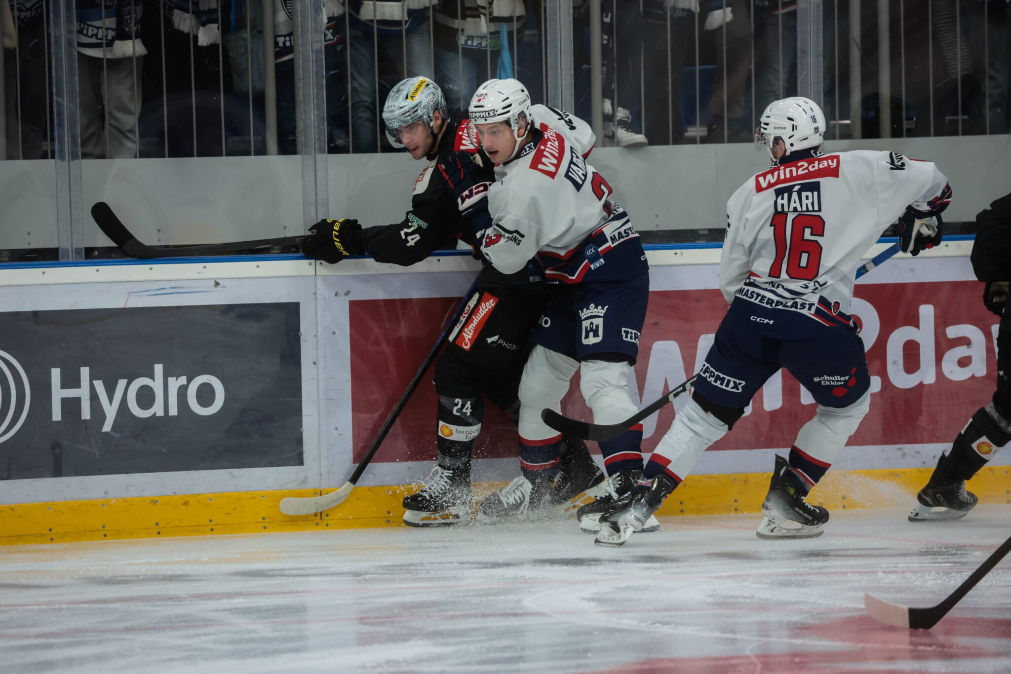Vienna Capitals Coach Constantine: "Unser Flow und unsere Offensive ...