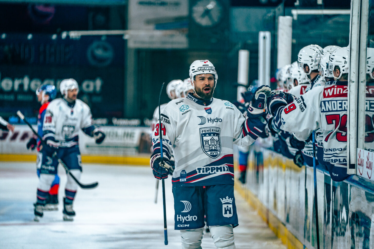 Transfer: Fehervar AV19 verpflichtet Torhüter mit Black Wings Linz ...